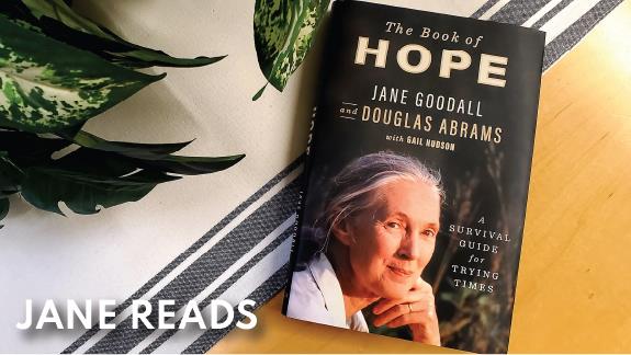 Home | Jane Goodall Official Store USA